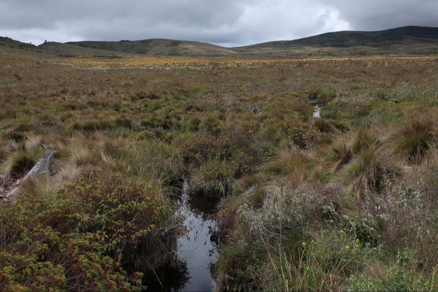 El Proyecto Yagual y la Lucha Contra el Cambio Climático